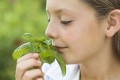 What are the senses? - Best Practice: Sensory